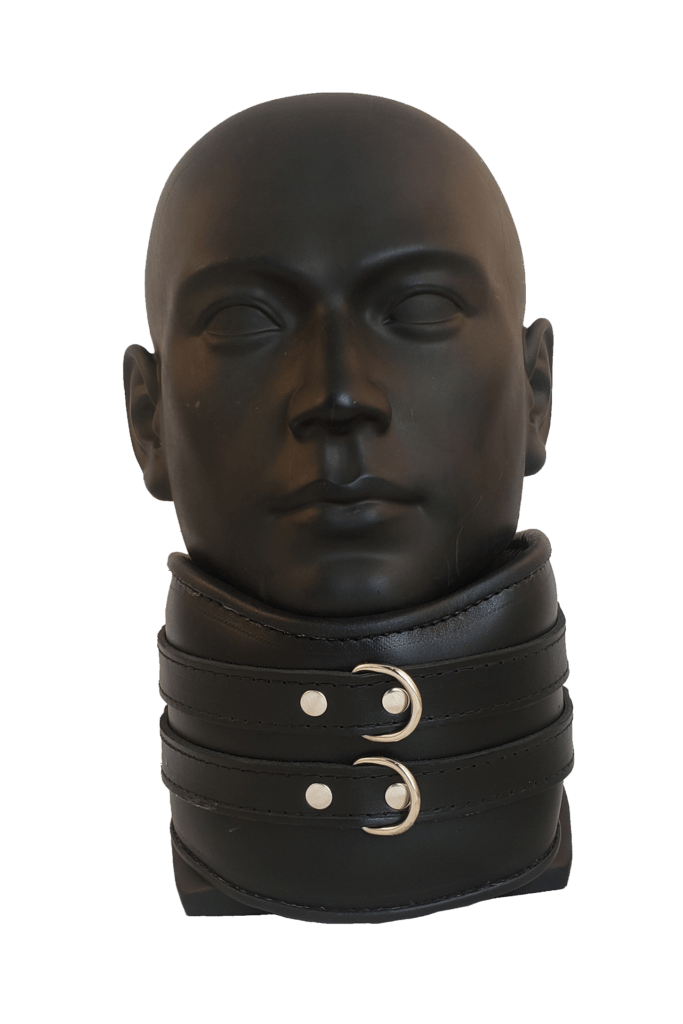Locking Padded Leather Posture Collar - House of Basciano