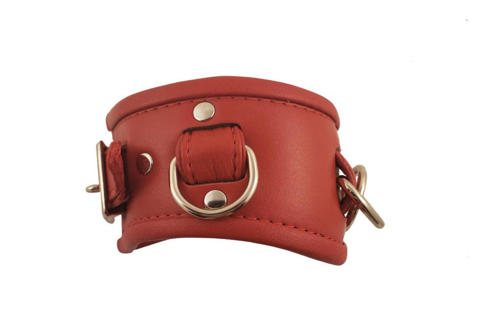 Locking Red Leather Posture Collar - House of Basciano